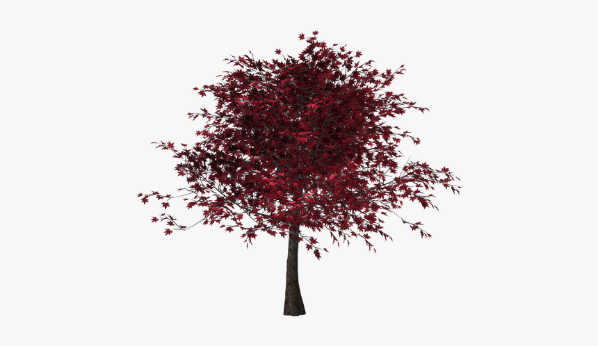 Tree, Autumn, Leaves, Red Leaves, Digital Art, Isolated - Tree With Red ...