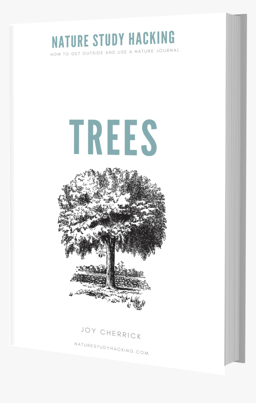 Nature Study Hacking Trees, HD Png Download , Transparent Png Image ...
