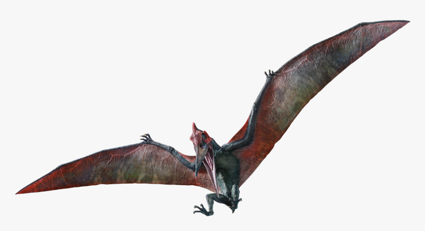 Pteranodon - Jurassic World Fallen Kingdom Pteranodon Png, Transparent ...