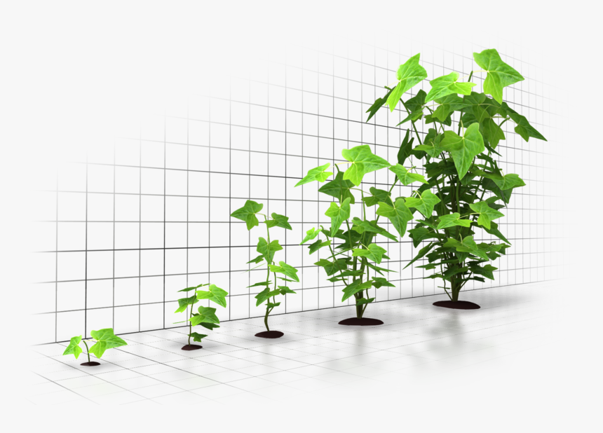 Six Incredible Ways To Grow Your Business Through Digital - Tree Grow ...
