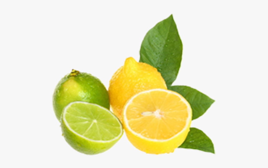 Lemon And Limes Clipart, HD Png Download , Transparent Png Image - PNGitem