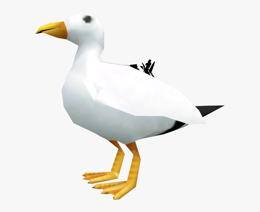 Duck, HD Png Download , Transparent Png Image - PNGitem