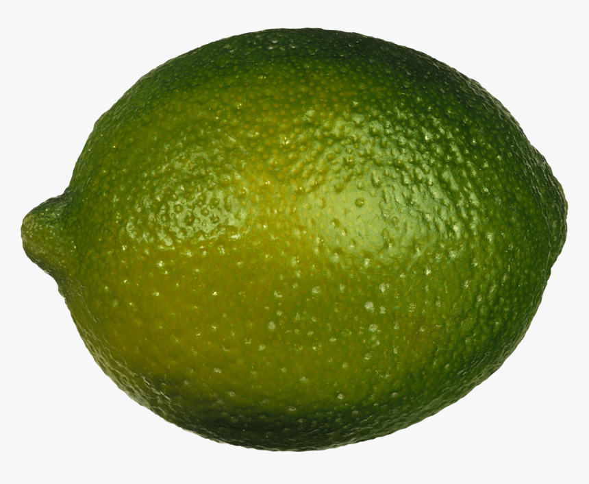 Transparent Lime Slice Png - Lime Transparent Background, Png Download ...