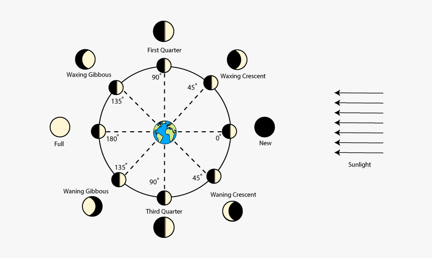 Phases Of The Moon Diagram - Moon Phases With Degrees, HD Png Download ...