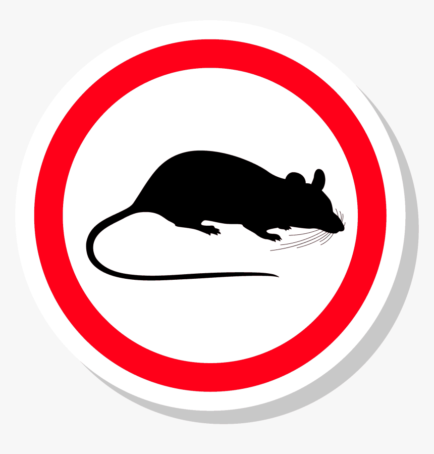 Rodent Control Png, Transparent Png , Transparent Png Image - PNGitem