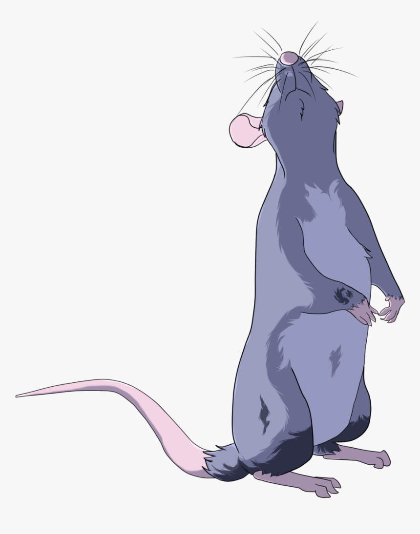 Clip Art Rat Standing Up - Rat Drawing, HD Png Download , Transparent ...