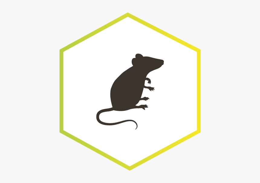 Rat Rodent Silhouette - Mice Symbol, HD Png Download , Transparent Png ...