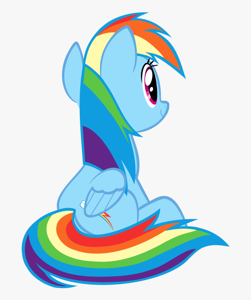 Sitting Vector Cartoon - Mlp Rainbow Dash Back, HD Png Download ...