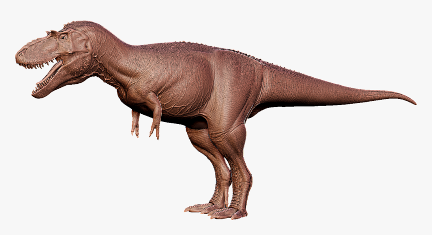 The Isle Wiki - Albertosaurus The Isle Model, HD Png Download ...