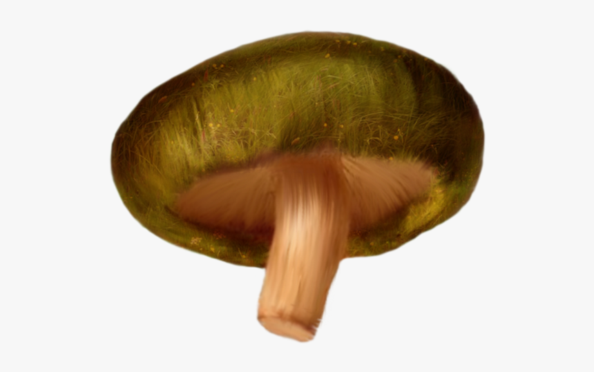 Download Mushroom Png Clipart - Russula Integra, Transparent Png ...