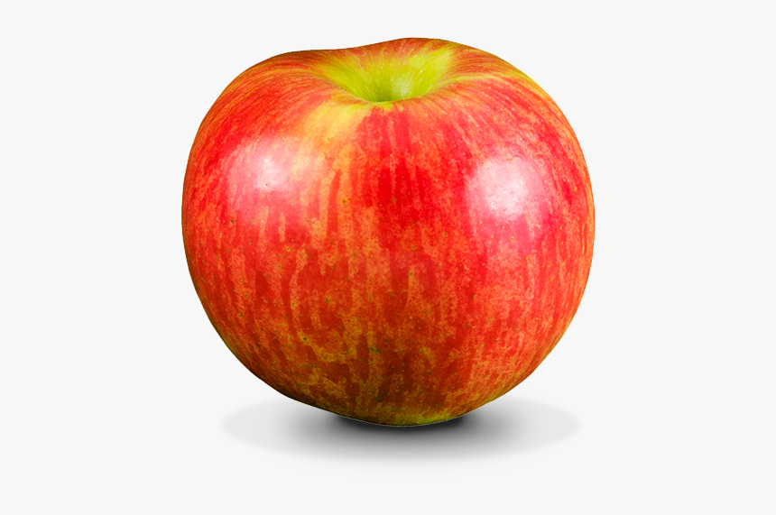Png Apple Fruit, Transparent Png , Transparent Png Image - PNGitem