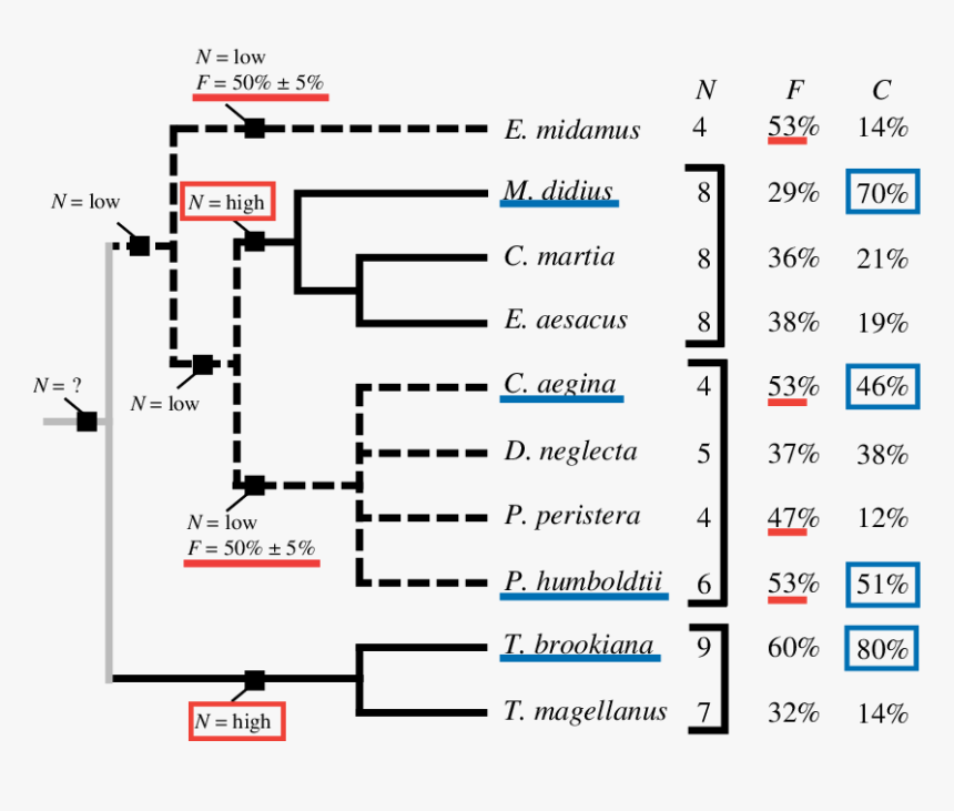Diagram, HD Png Download , Transparent Png Image - PNGitem