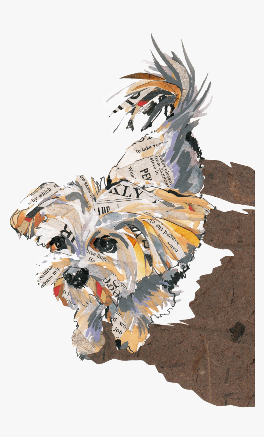 George Silo For Website, HD Png Download , Transparent Png Image - PNGitem