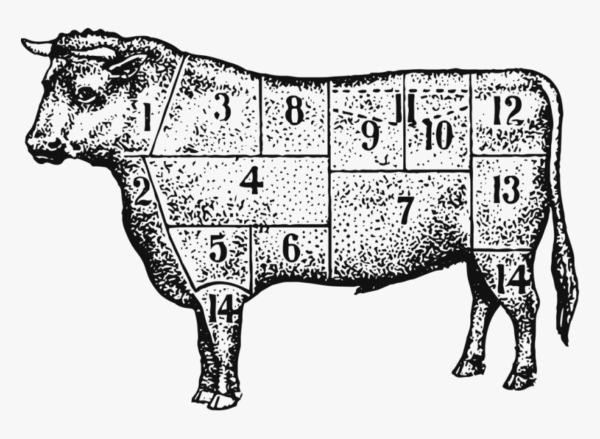 Farm Animals 22 - Bull, HD Png Download , Transparent Png Image - PNGitem