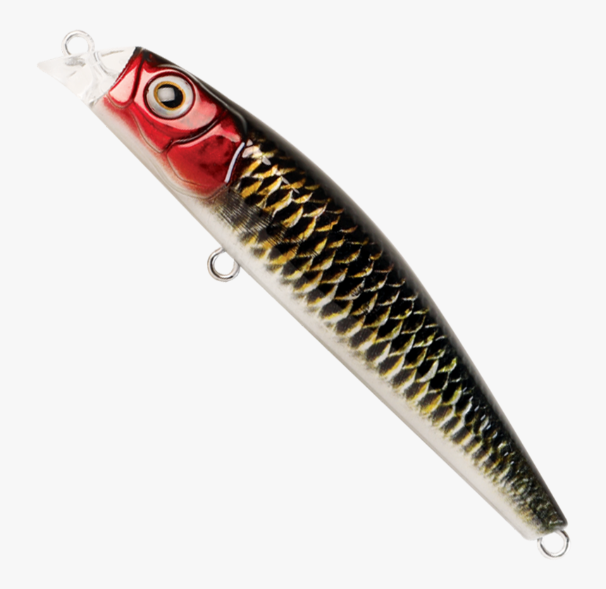 Fin, HD Png Download , Transparent Png Image - PNGitem