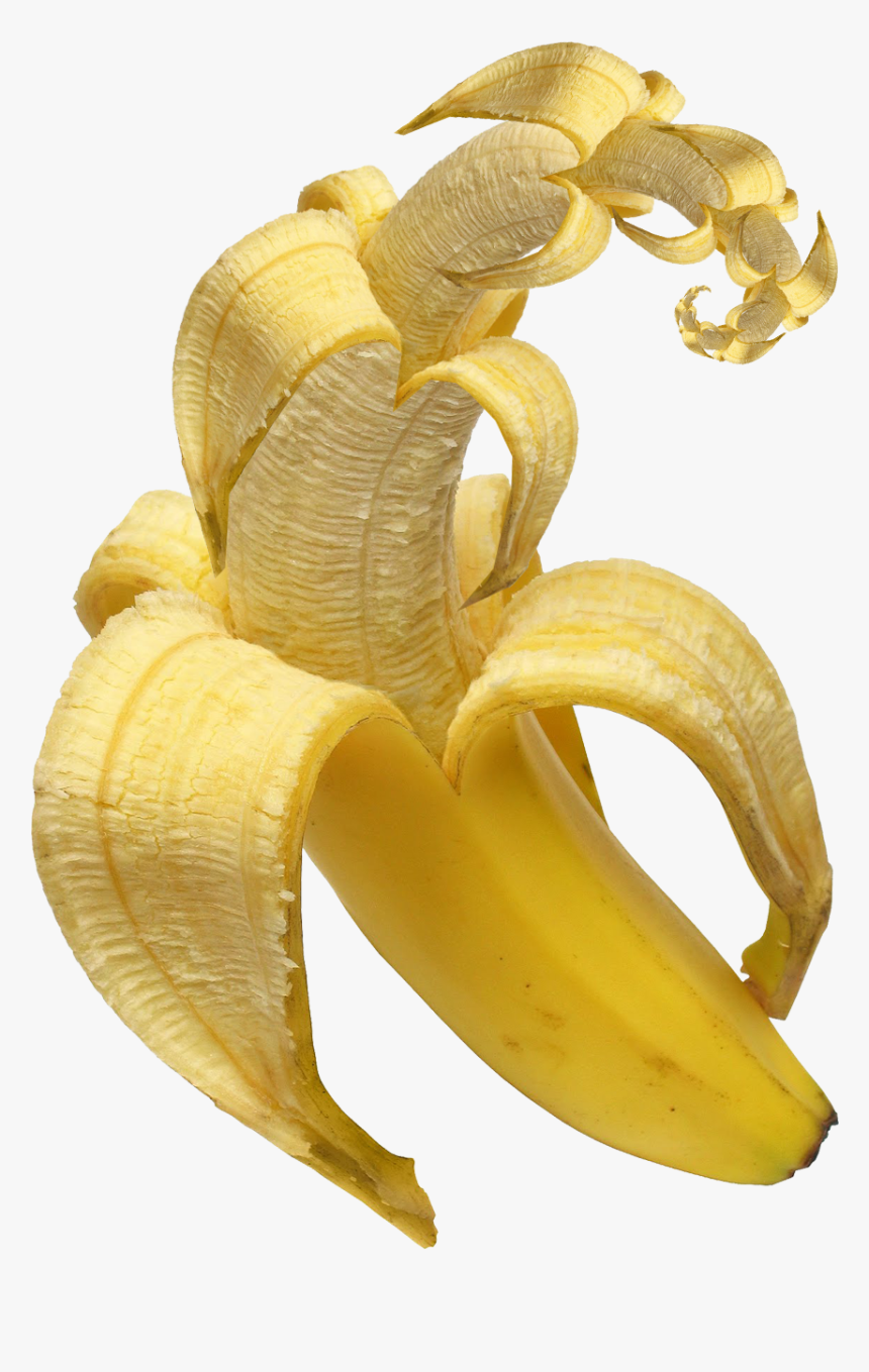 Banana Banana Family Fruit Food Produce - Inside Of A Banana, HD Png ...