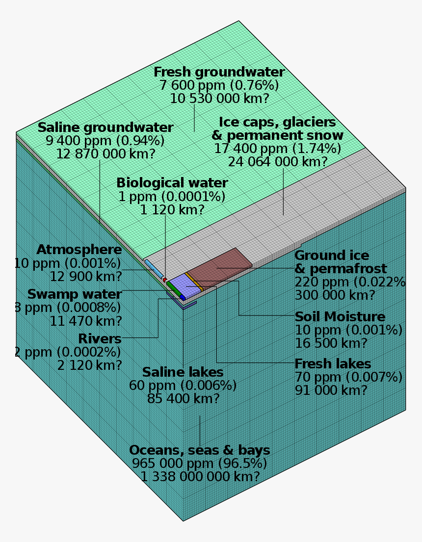 Water Distributed On Earth, HD Png Download , Transparent Png Image ...