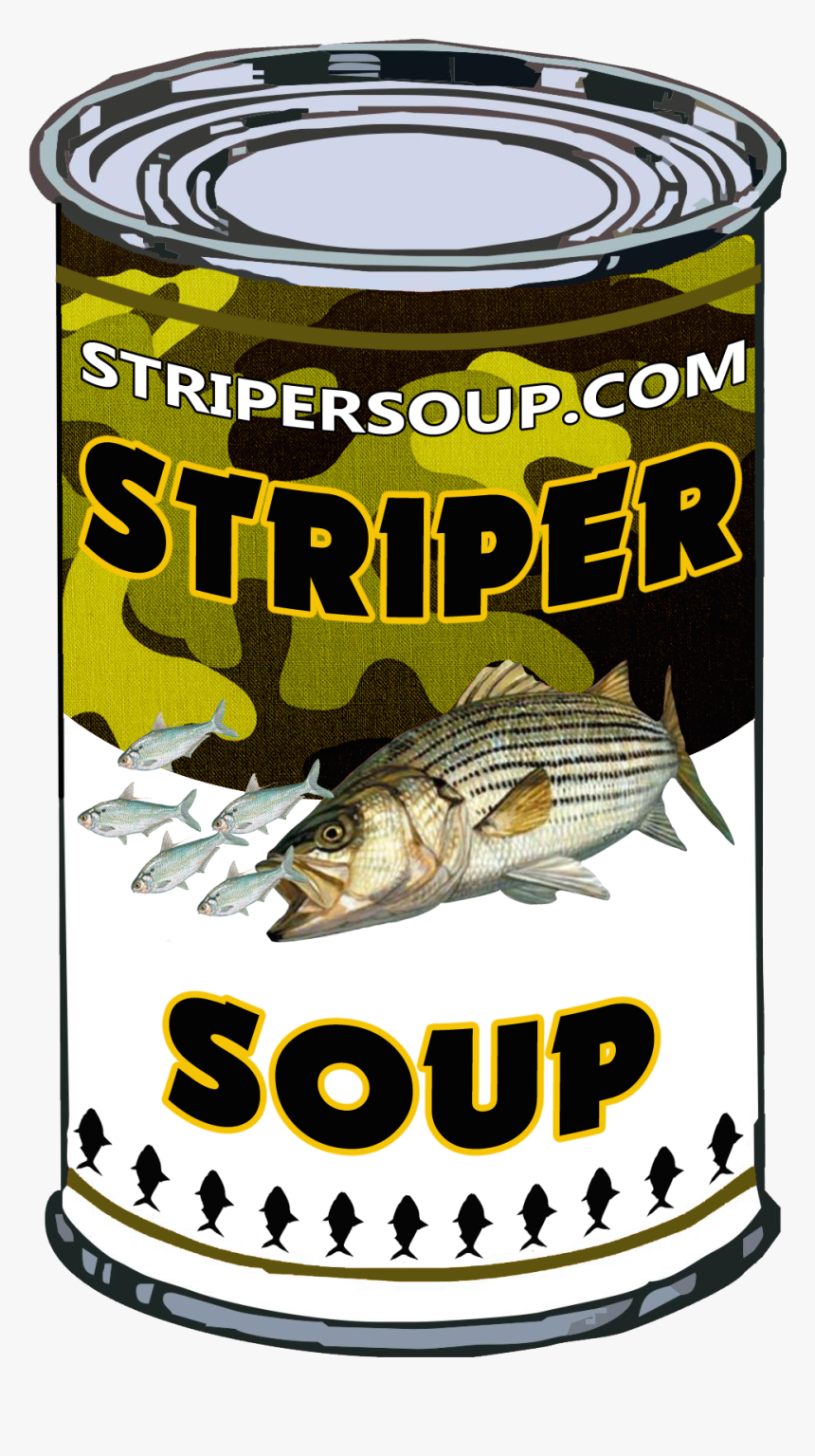 Picture - Pacific Sturgeon, HD Png Download , Transparent Png Image ...