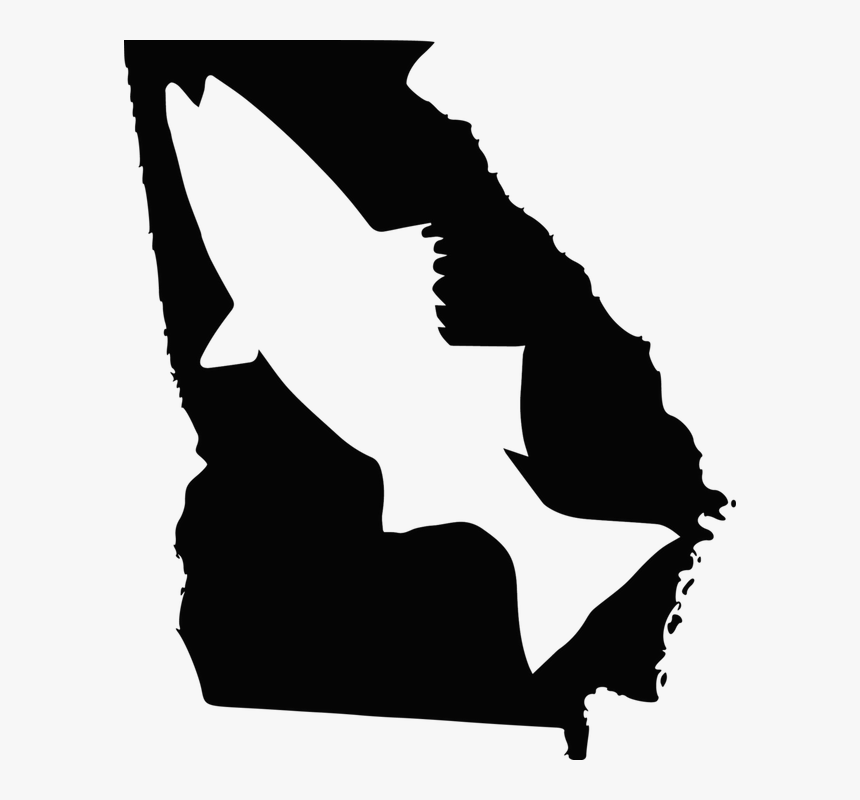 State Of Georgia Png, Transparent Png , Transparent Png Image - PNGitem