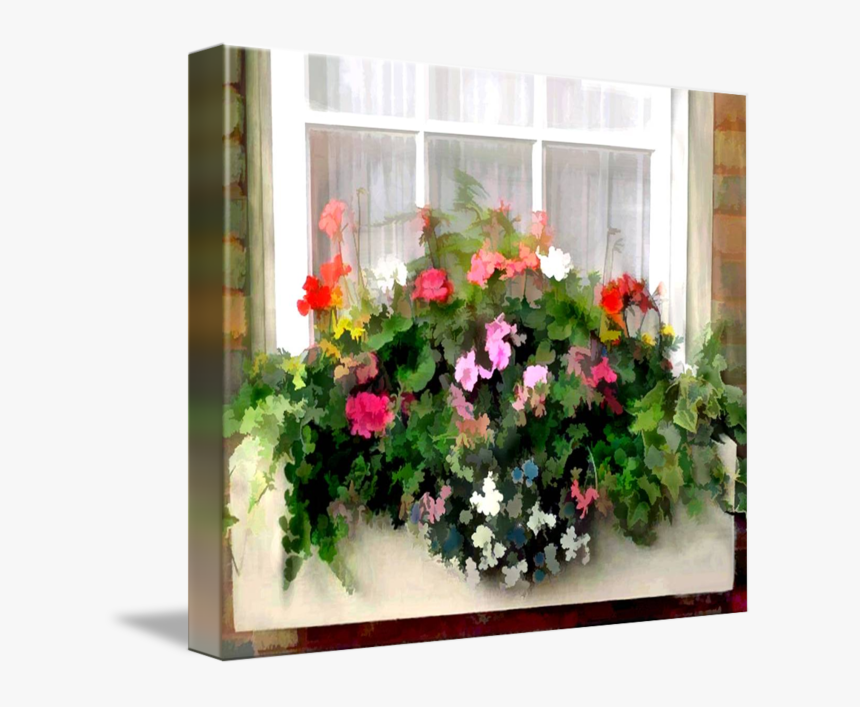Window Box Png - Petunia, Transparent Png , Transparent Png Image - PNGitem