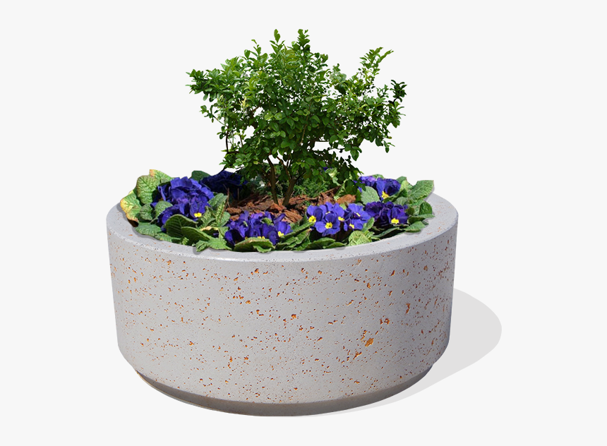 Coss Model Circular Planter Made Of Cement - Flowerpot, HD Png Download ...