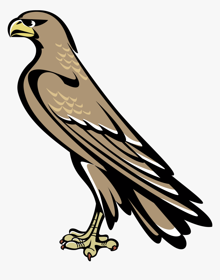 Falcon - Falcon Symbol Coat Of Arms, HD Png Download , Transparent Png ...