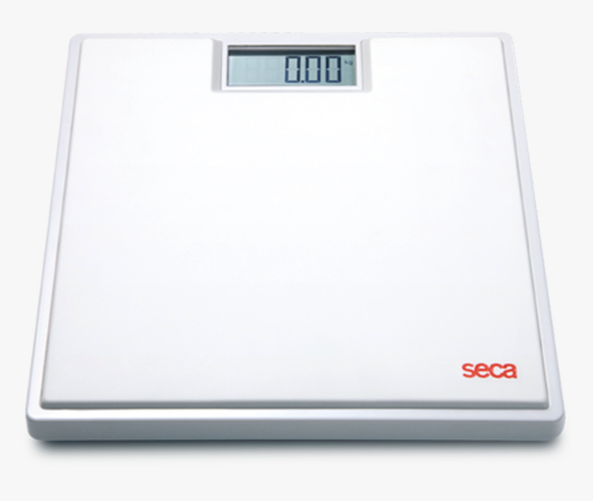 Digital Personal Flat Scale - Seca 803 Digital Flat Scale For ...