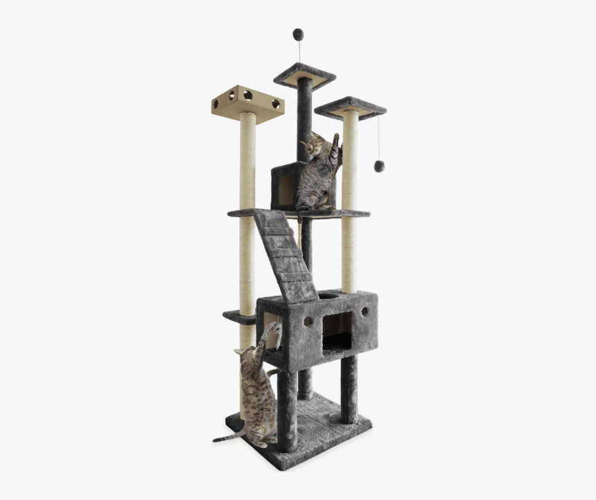 Cat Tree, HD Png Download , Transparent Png Image - PNGitem