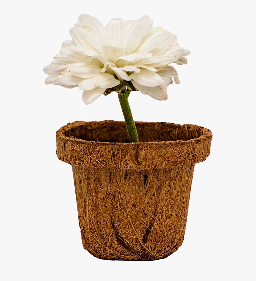 Beautiful Little Pot - Flowerpot, HD Png Download , Transparent Png ...