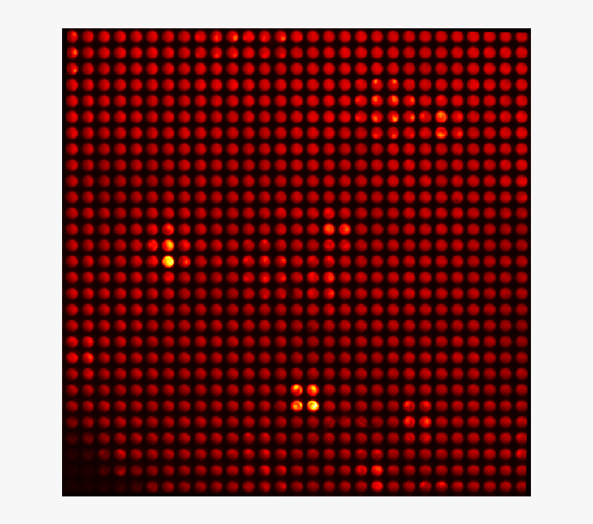 Fashion Accessory, HD Png Download , Transparent Png Image - PNGitem