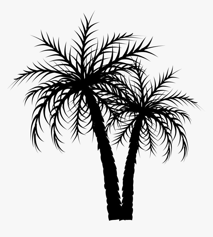 Asian Palmyra Palm Palm Trees Date Palm Coconut Image - Palmyra Clipart ...