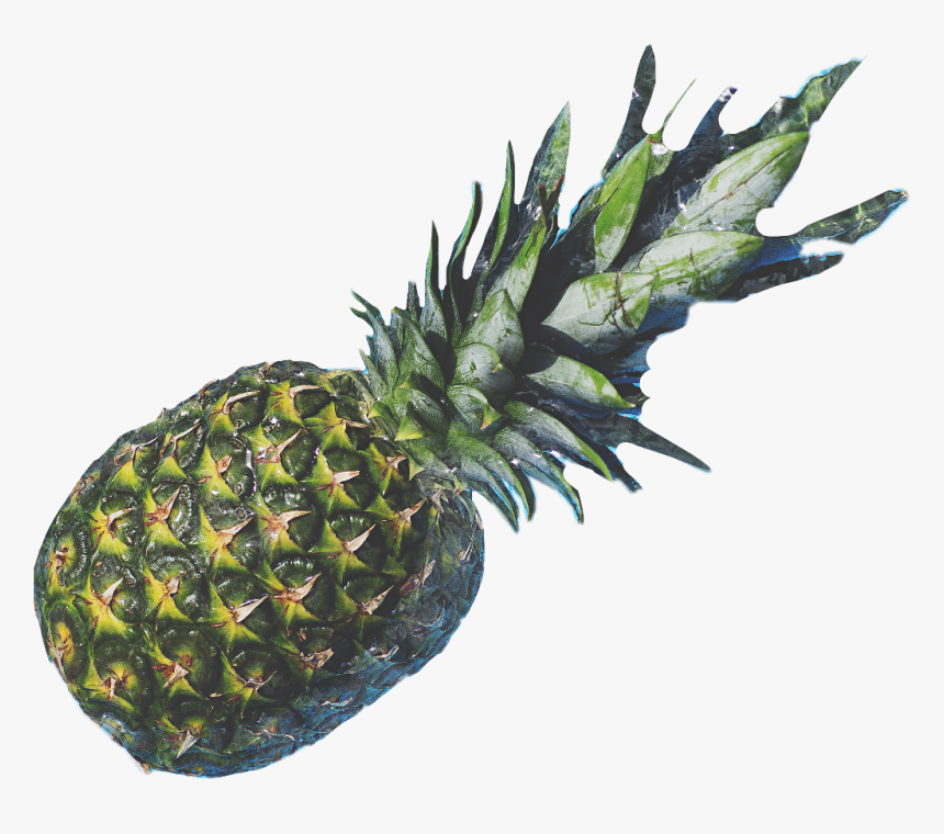 Transparent Party People Png, Png Download , Transparent Png Image ...