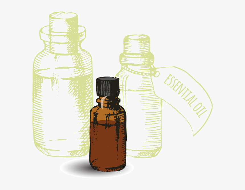 Transparent Essential Oil Png - Essential Oil Png, Png Download ...