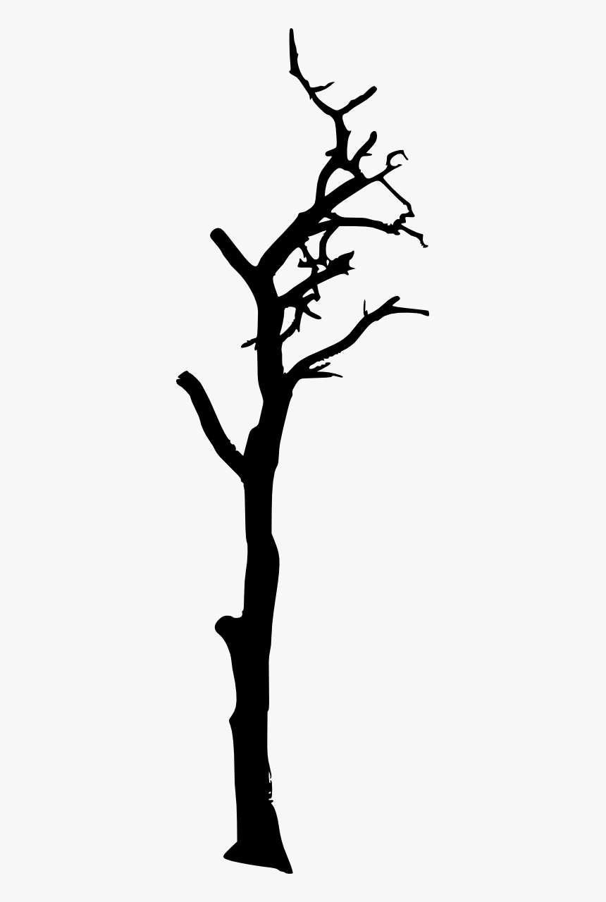 Dead Plant Drawing At - Dead Tree Silhouette Png, Transparent Png ...