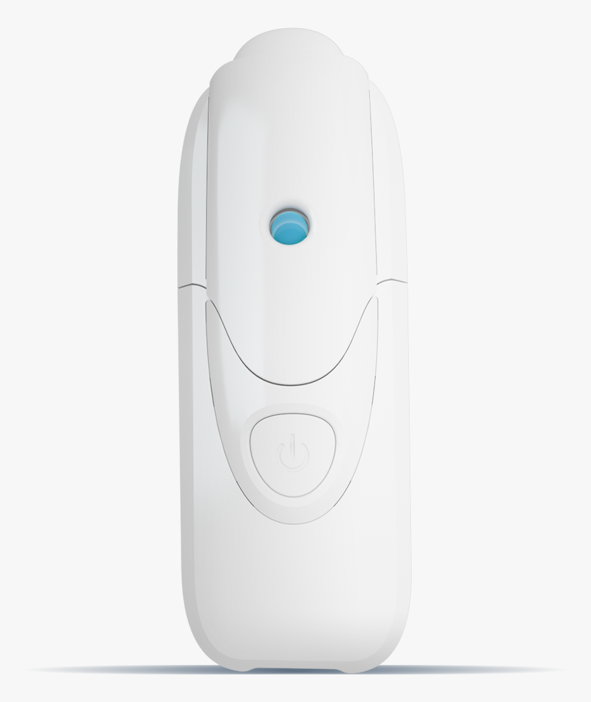 Mouse, HD Png Download , Transparent Png Image - PNGitem