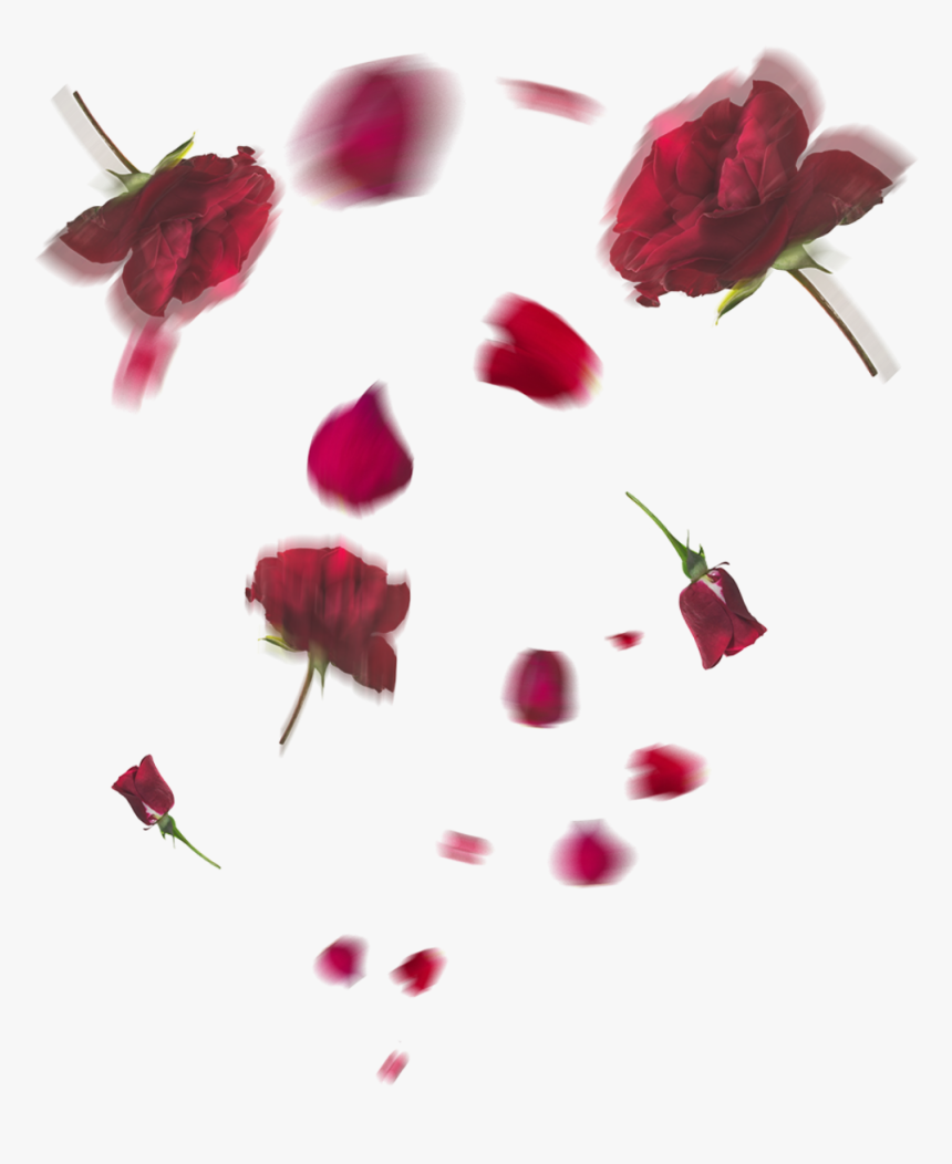 Flowers In Floating Transparent, HD Png Download , Transparent Png ...