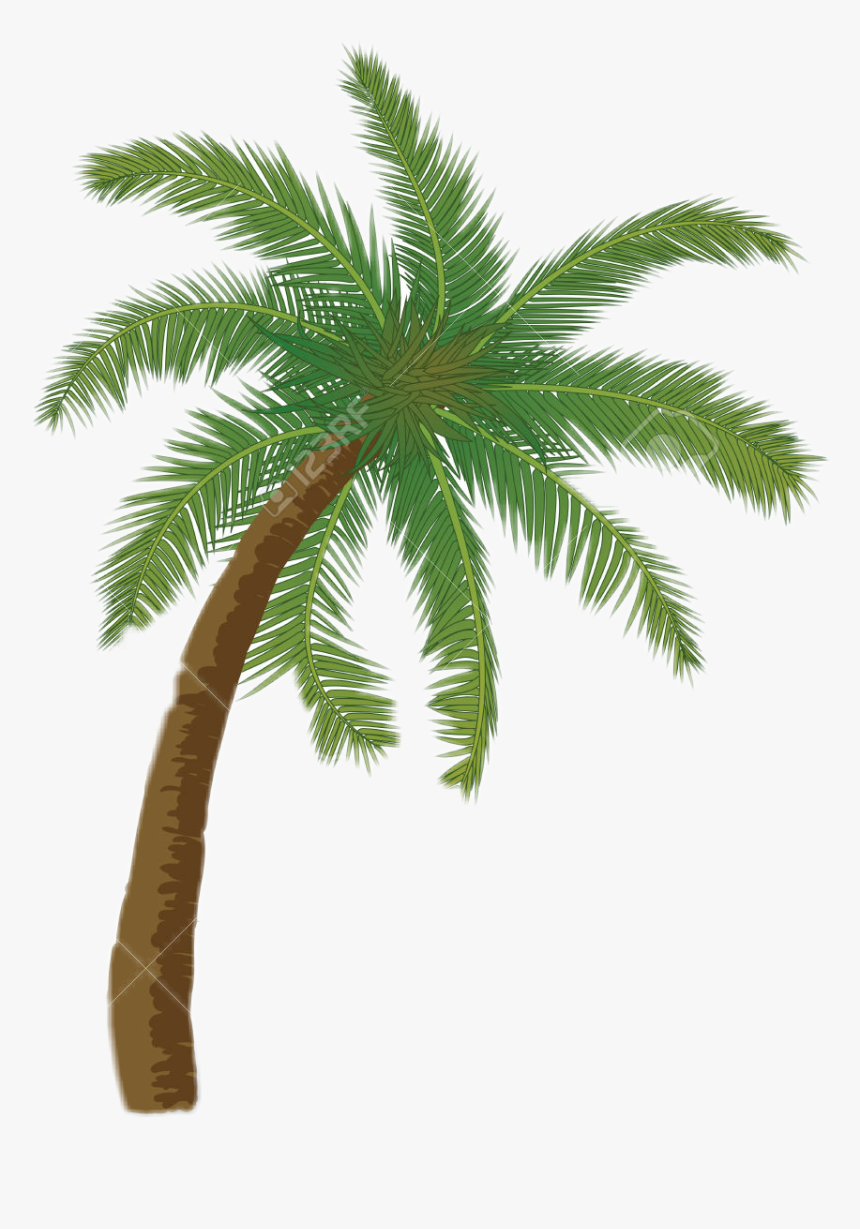 Transparent Palmeras Tropicales Png - Sticker De Palmeras, Png Download ...