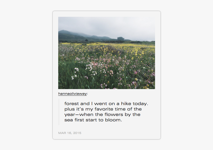Urban Outfitters Tumblr Reblog - Field, HD Png Download , Transparent ...