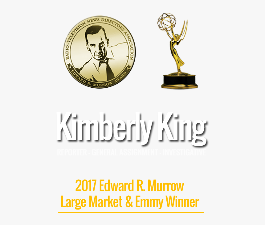 Kim Banner Awards Additions - Trophy, HD Png Download , Transparent Png ...