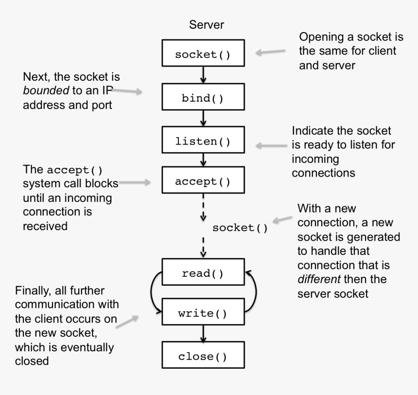 Lec23 Server Socket - Server Socket, HD Png Download , Transparent Png ...