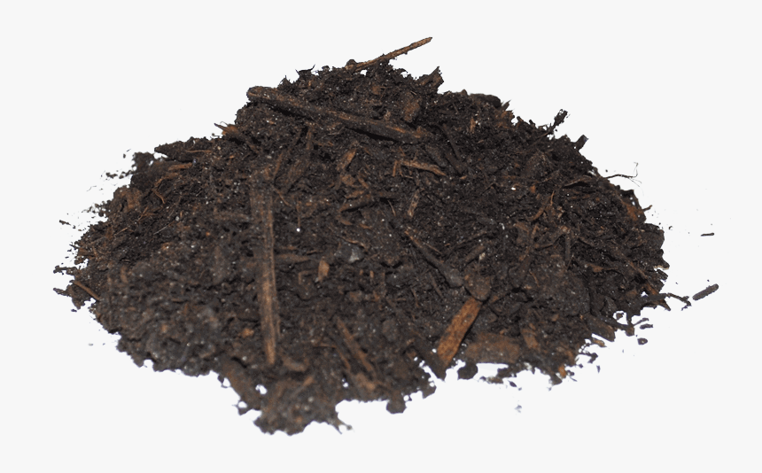 Does Thorny Devil Poop Look Like, HD Png Download , Transparent Png ...