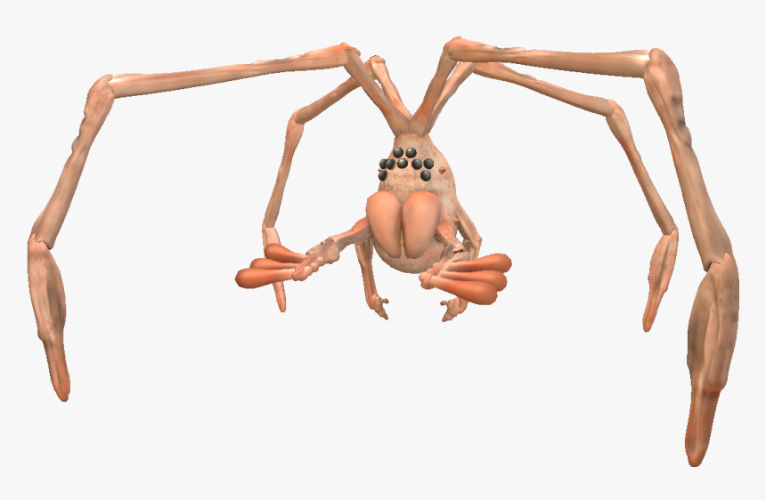 Titan Dweevil - Pikmin - Araneus Cavaticus, HD Png Download ...