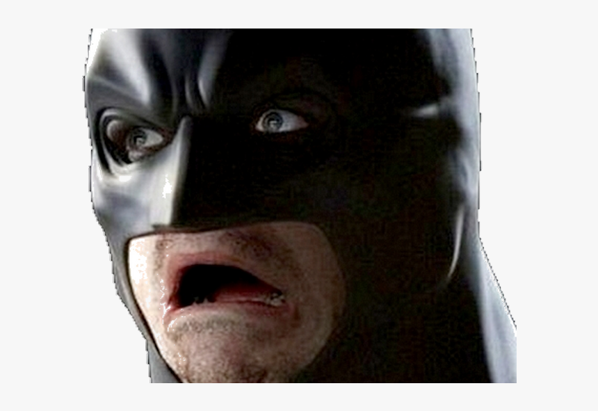 Lien Direct, 2017/18/1493852512 Bat Wtfzoom - Batman Shocked, HD Png ...