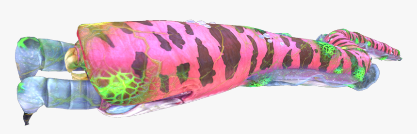 Subnautica Wiki - Crabsnake Subnautica Crab Snake Png, Transparent Png ...