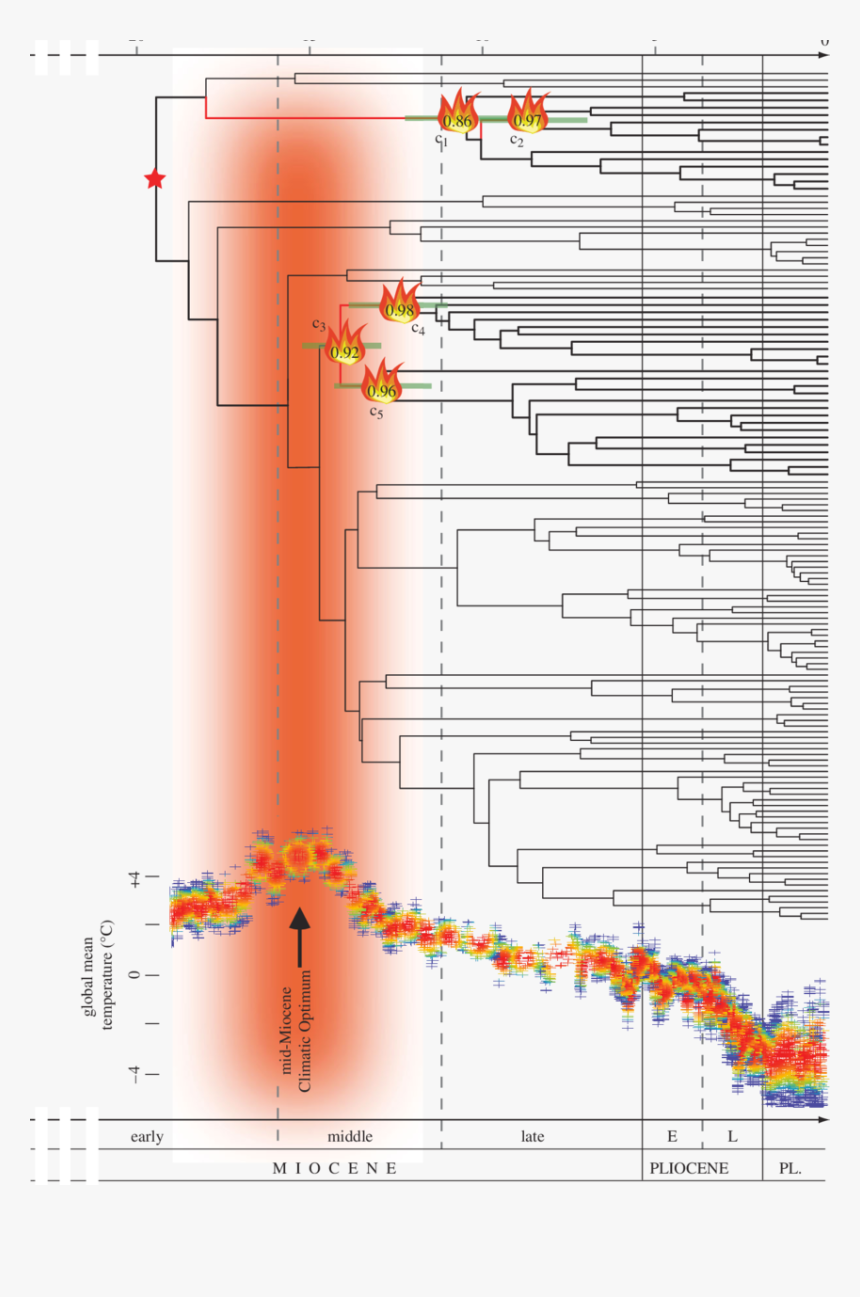 Diagram, HD Png Download , Transparent Png Image - PNGitem