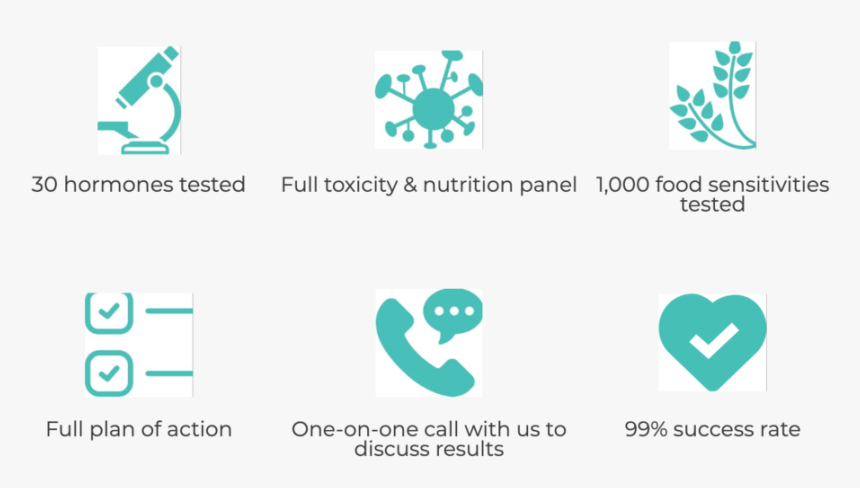 Full Scan Icons - Graphic Design, HD Png Download , Transparent Png ...