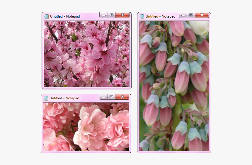 Transparent Notepad Windows Png Tumblr Notepad, Png Download ...