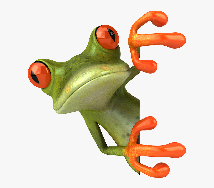 Tree Frogs Png, Transparent Png , Transparent Png Image - PNGitem