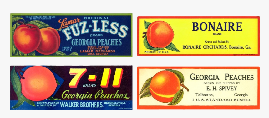 Georgia Peaches, HD Png Download , Transparent Png Image - PNGitem