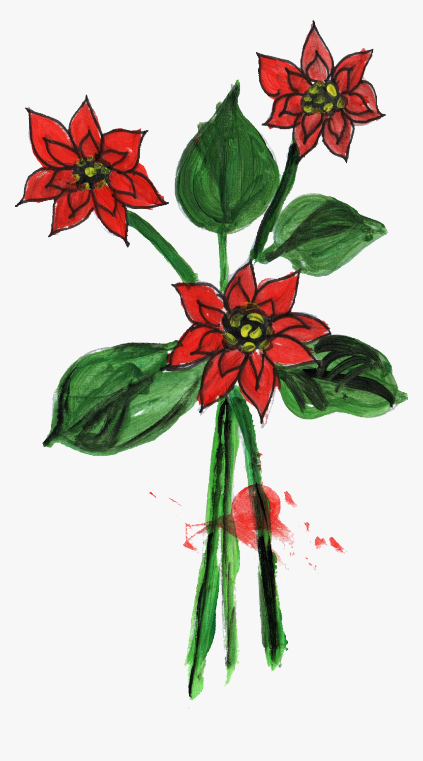 Gilliflower, HD Png Download , Transparent Png Image - PNGitem